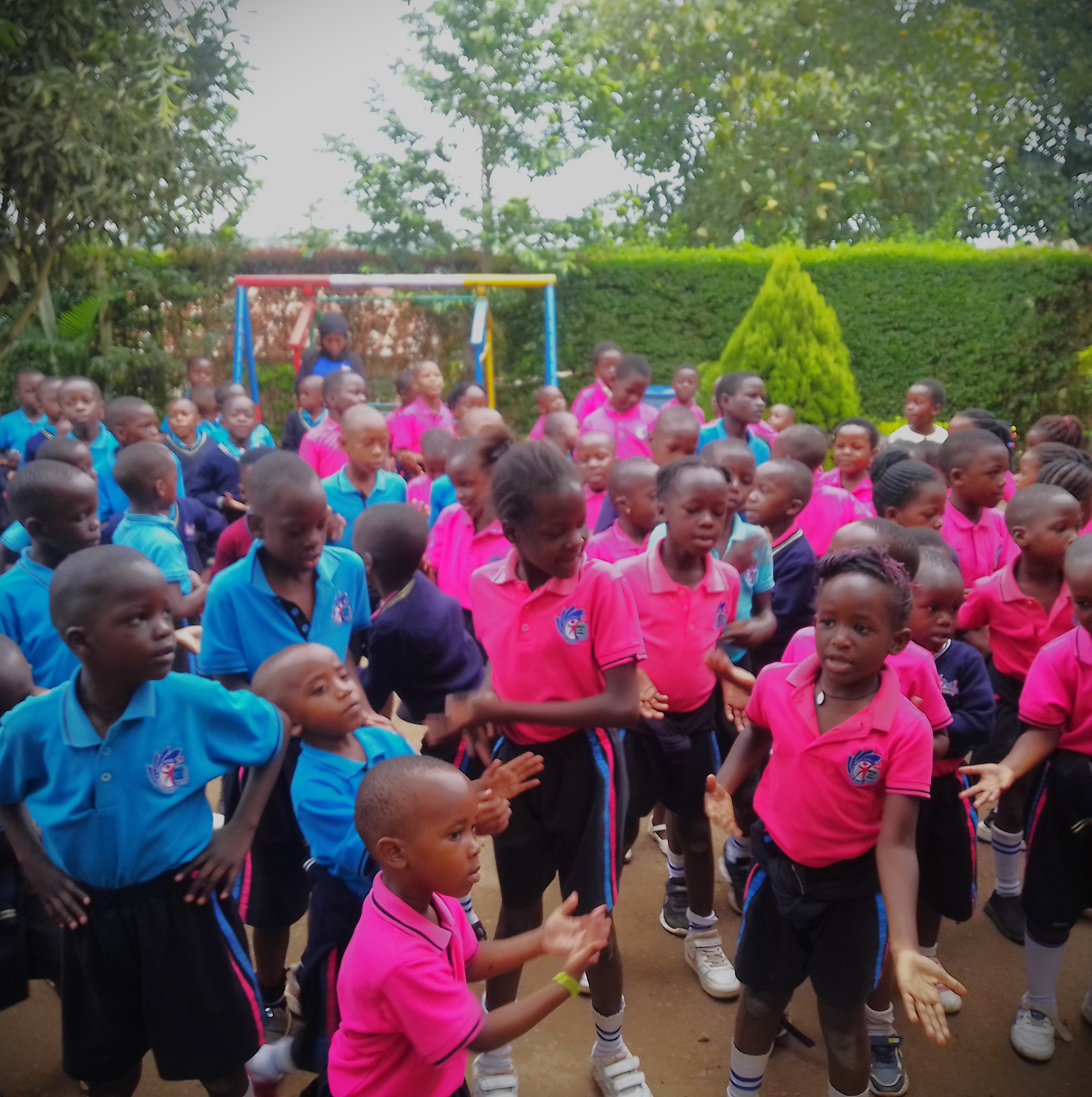 Brain Tuner Junior School